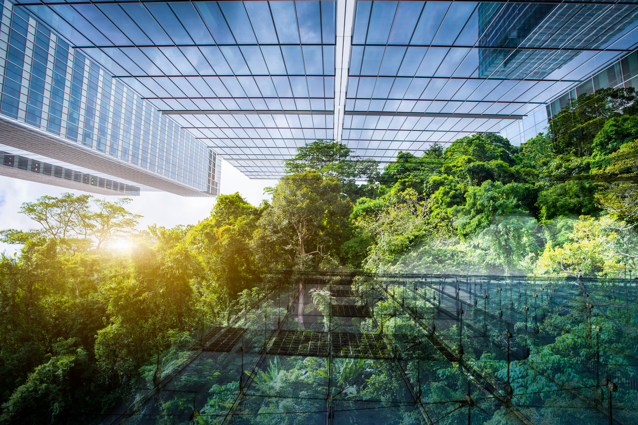 Telling Your ESG Story Through Reporting and Disclosures